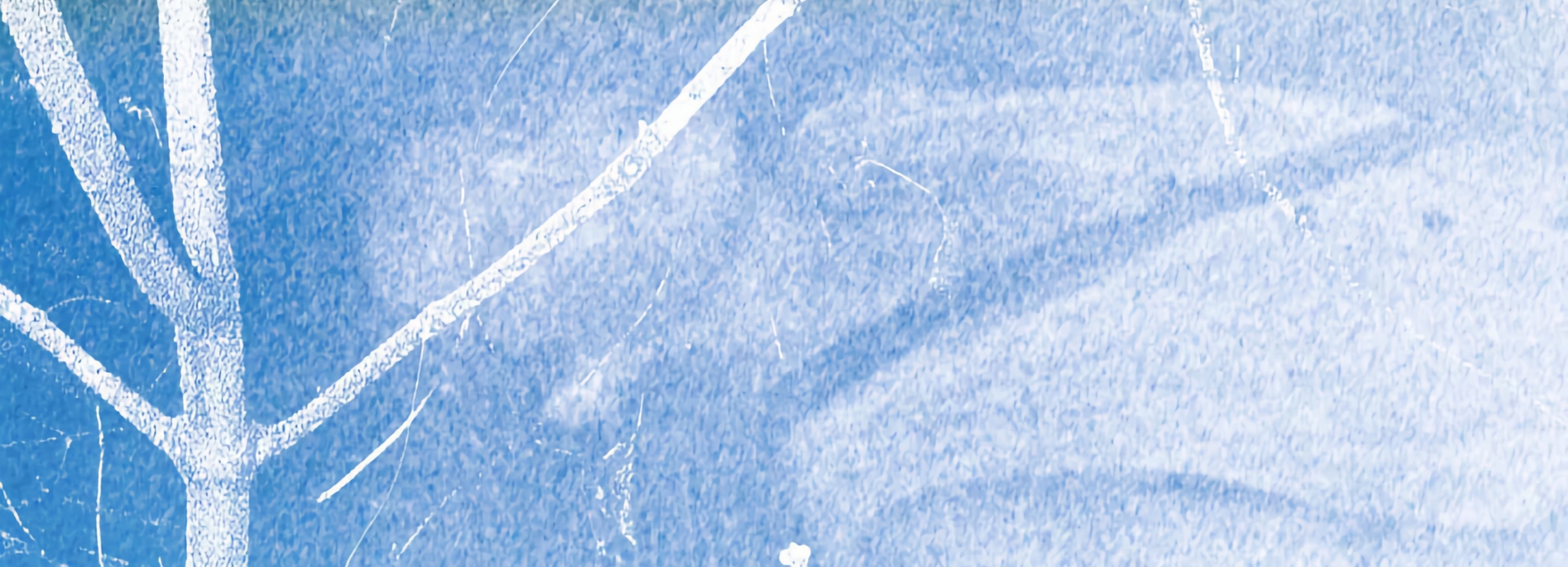 Skuty klasycyzm, spękany realizm | Literatura | Dwutygodnik